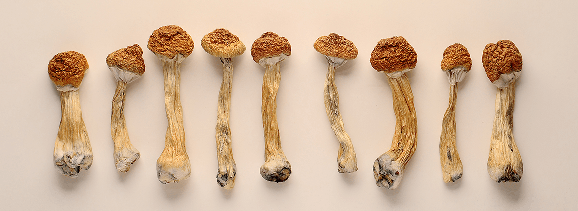 Champis hallucinogènes : quels sont les effets sur la santé ...