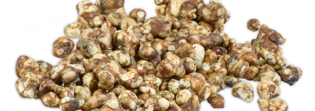 What are the best magic truffles? - Mycotrop.com